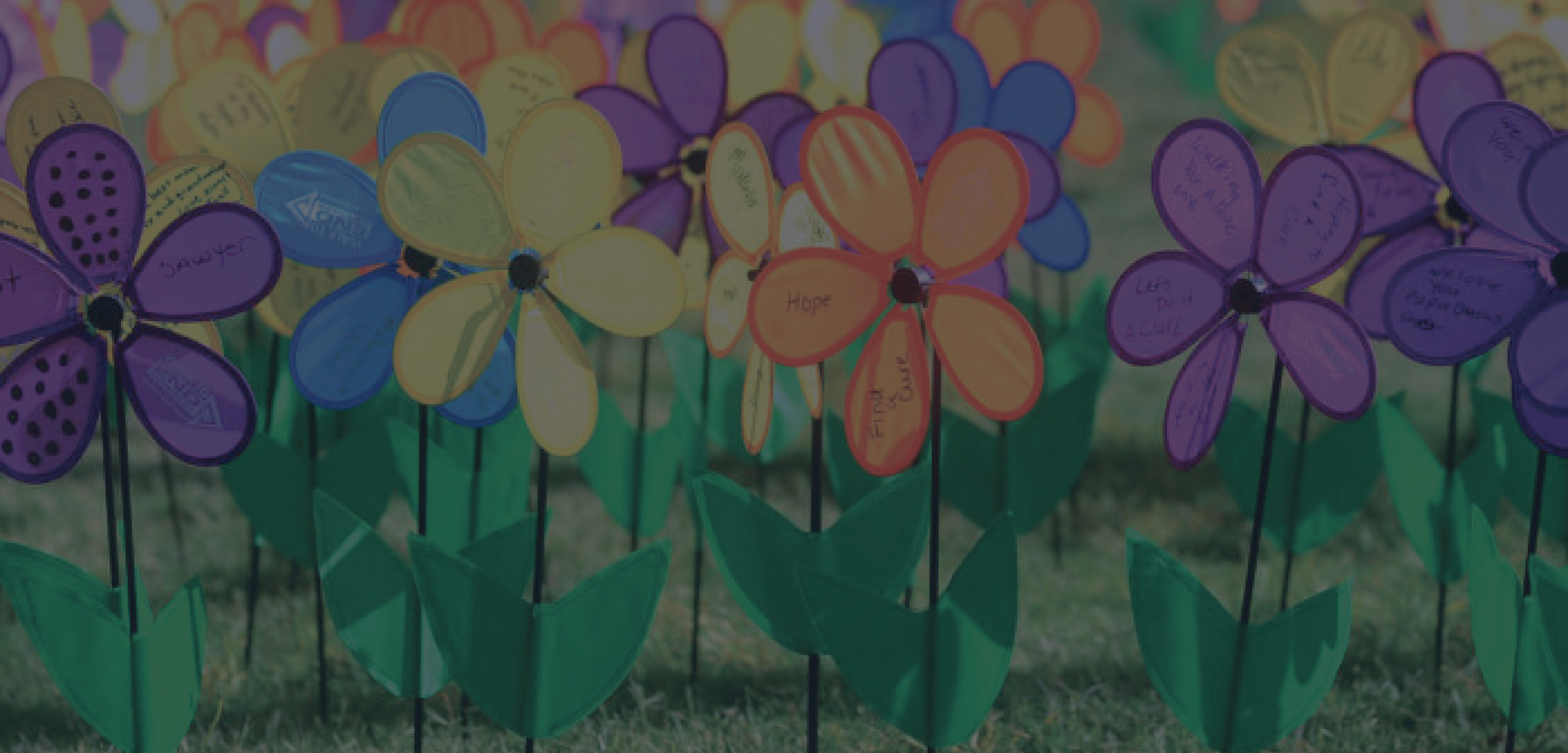 Kaydan Cares Update: Feeding the Community - Kaydan Wealth Management